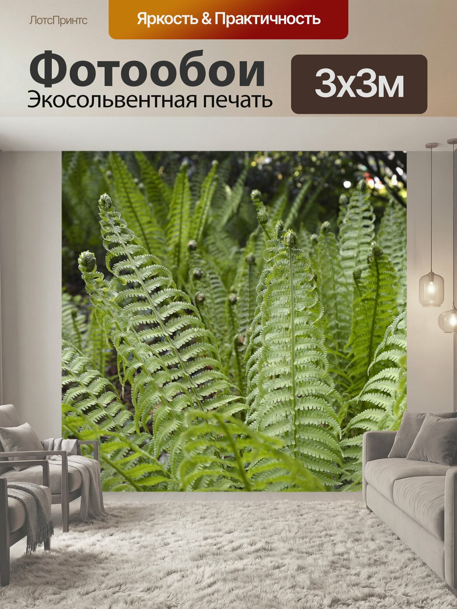 Фотообои "Папоротник, растения, зеленый" 300x300 см. экосольвентная печать