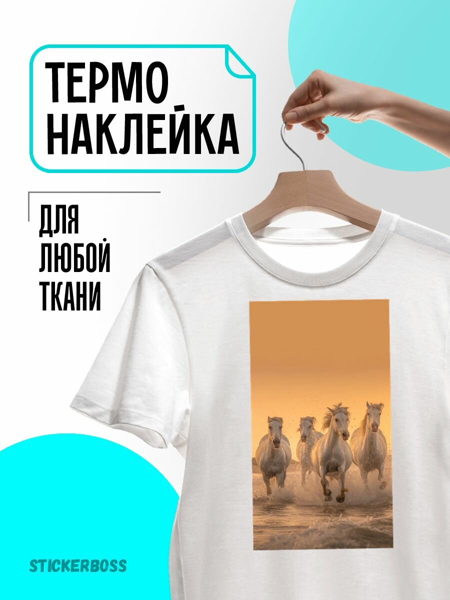 Термонаклейка термотрансфер на одежду лошади