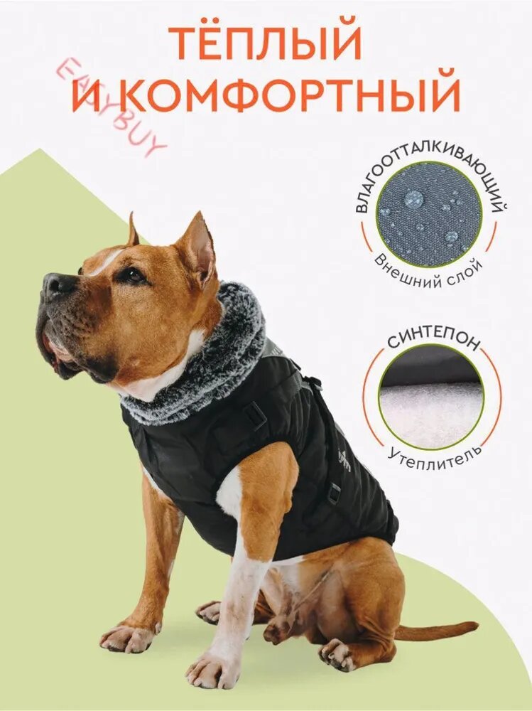 Одежда для животных — фото 1