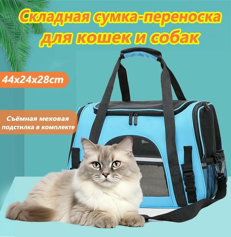 Складная переноска для кошек и собак через плечо, дышащая сумка-трансформер с мягким ковриком, портативный рюкзак-переноска