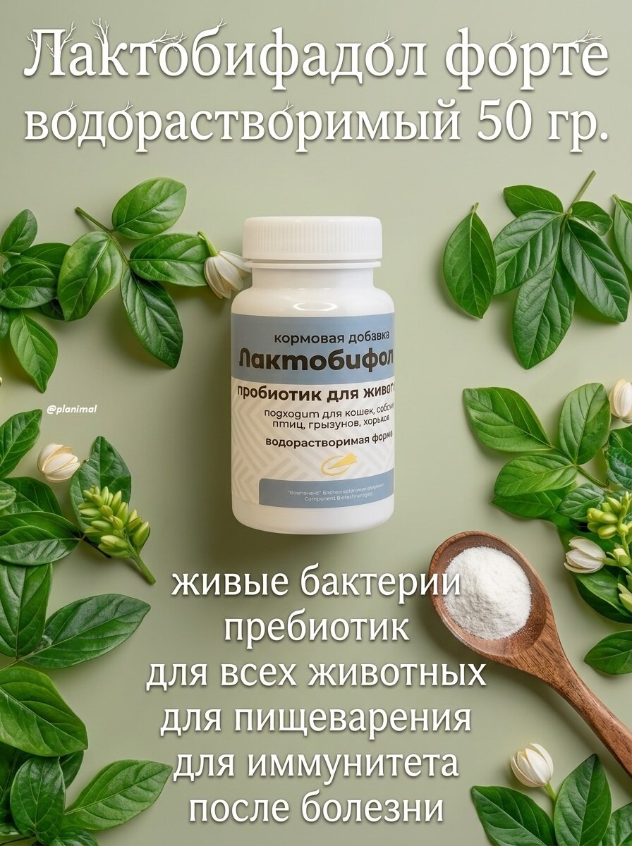 Компонент: Лактобифадол форте на мальтодекстрине водорастворимый для КРС, птиц, свиней, кошек, собак, грызунов, 50 гр.