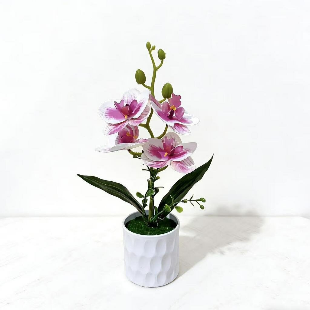 Realistic butterfly orchid with handmade crafting for office greenery decor stylef