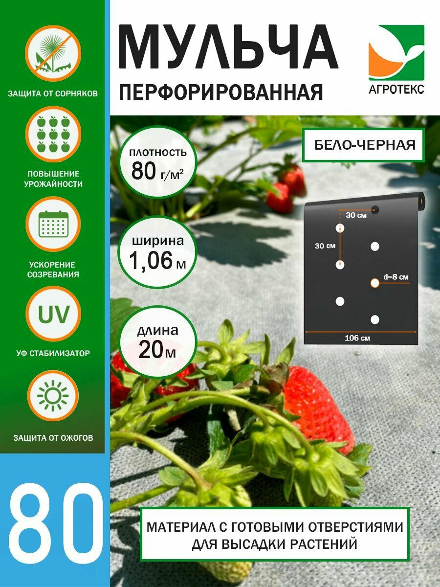 Перфорированный бело-черный спанбонд, агроткань от сорняков для клубники с готовыми отверстиями, Укрывной материал для растений на зиму 1,06х20м