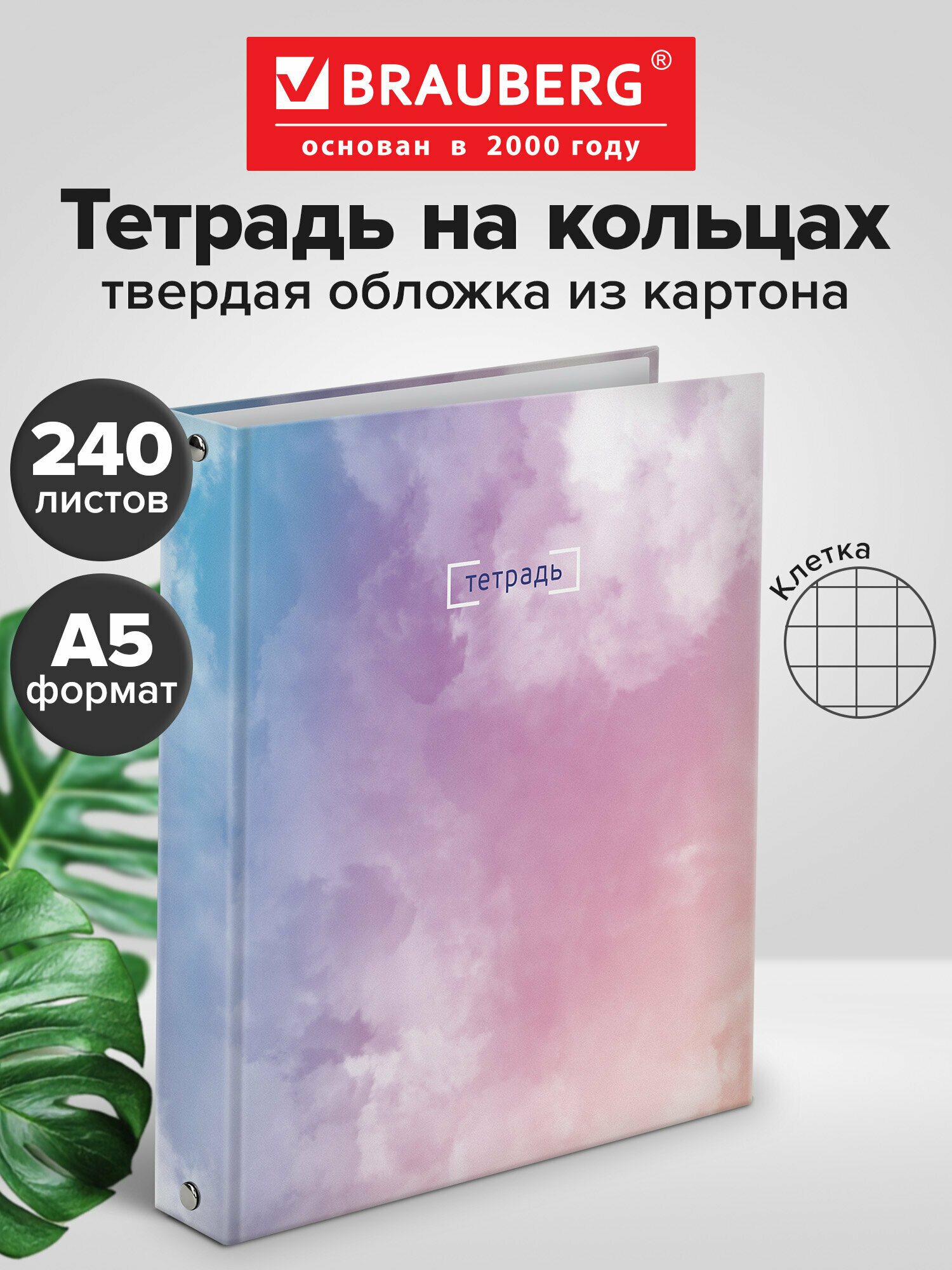 Тетрадь на кольцах А5 (175х215 мм), 240 листов, твердый картон, клетка, Brauberg, Cloud, 404094