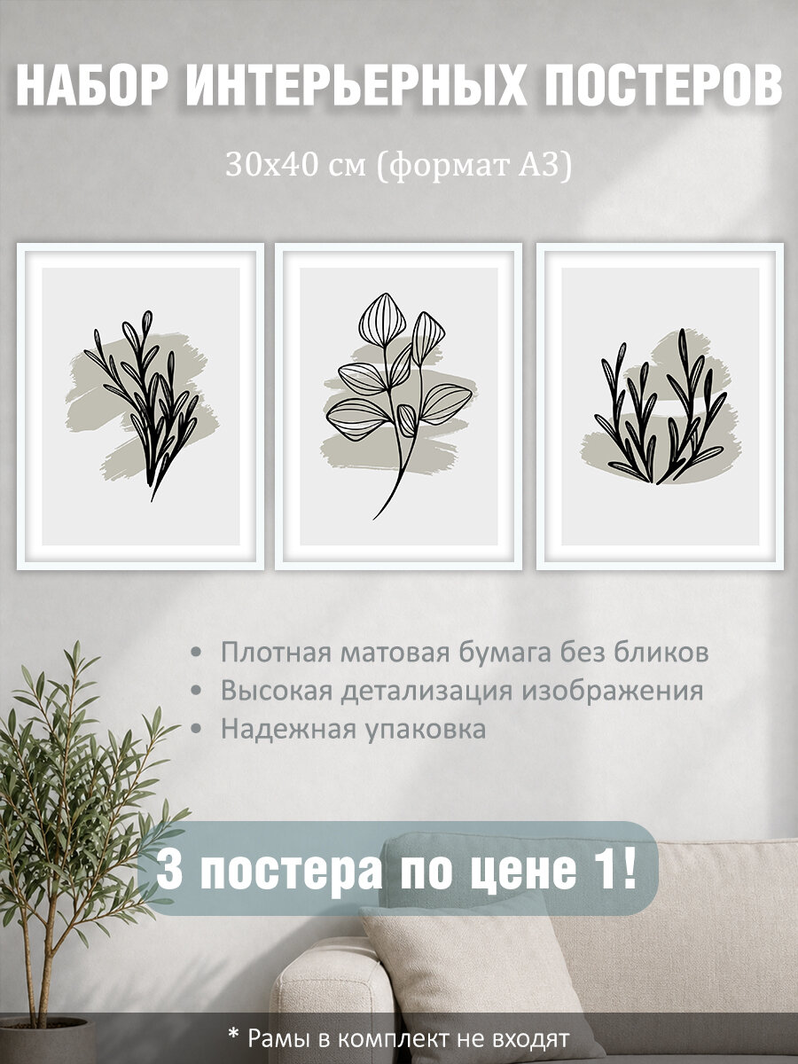 Набор постеров интерьерных на стену "растения минимализм" 30x40 см