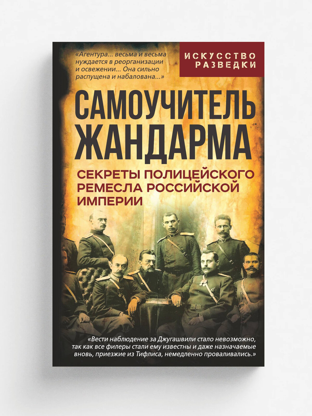 Самоучитель жандарма. Полицейское ремесло Российской Империи