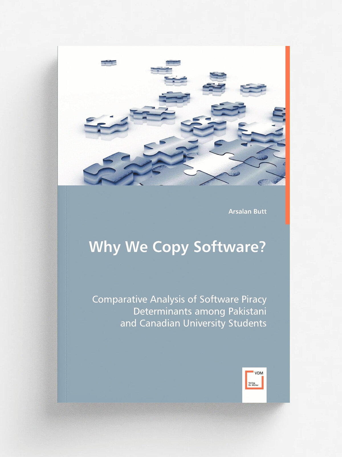 Why We Copy Software?