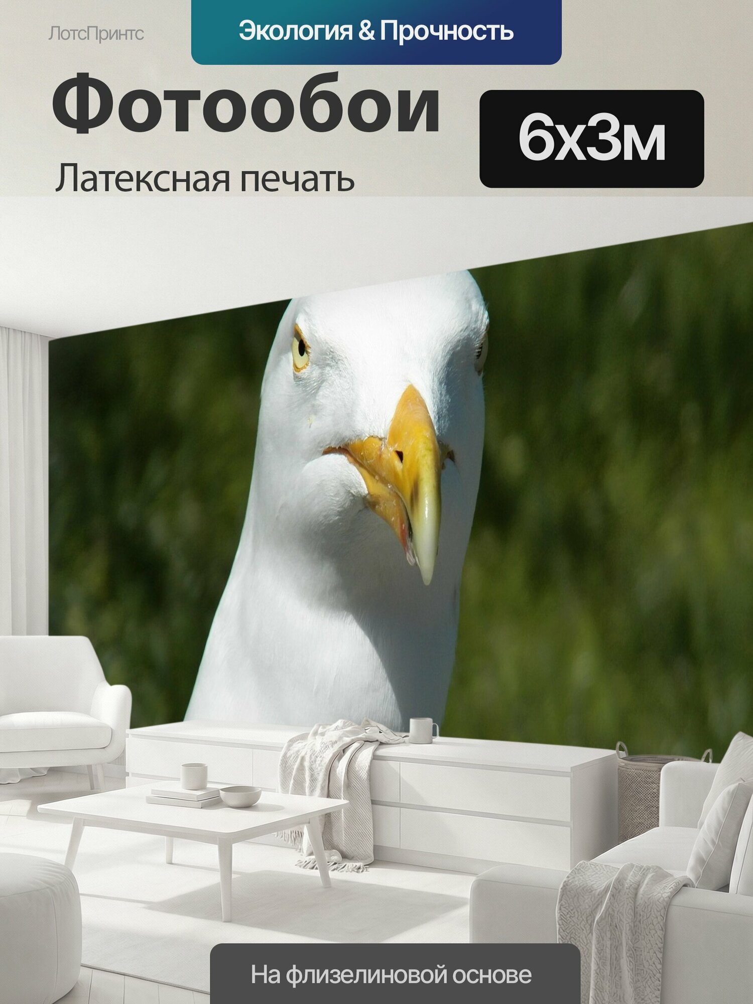 Фотообои моющиеся ударопрочные "Чайка, чайки, крупный план" 600x300 см. латексная печать