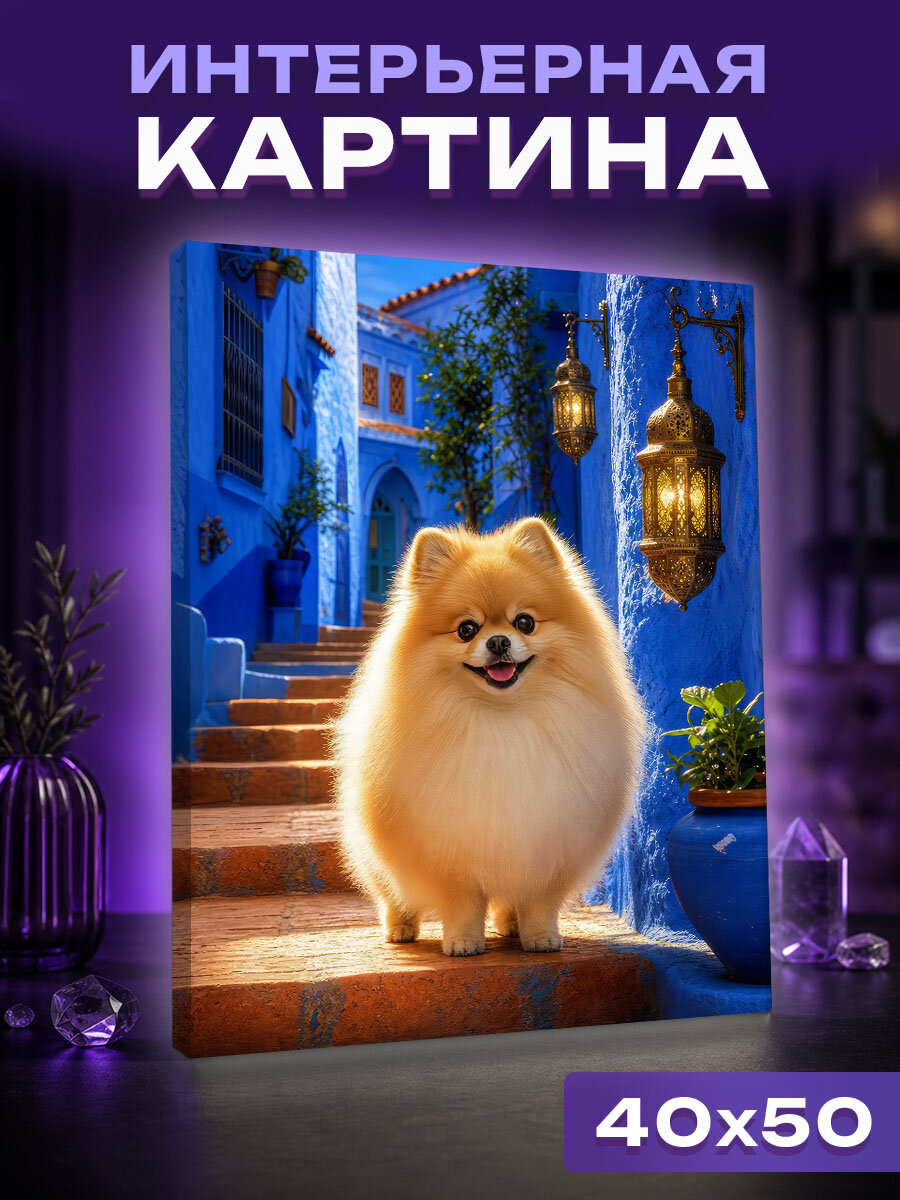 Интерьерная картина Померанский шпиц у синих стен Шефшауэн