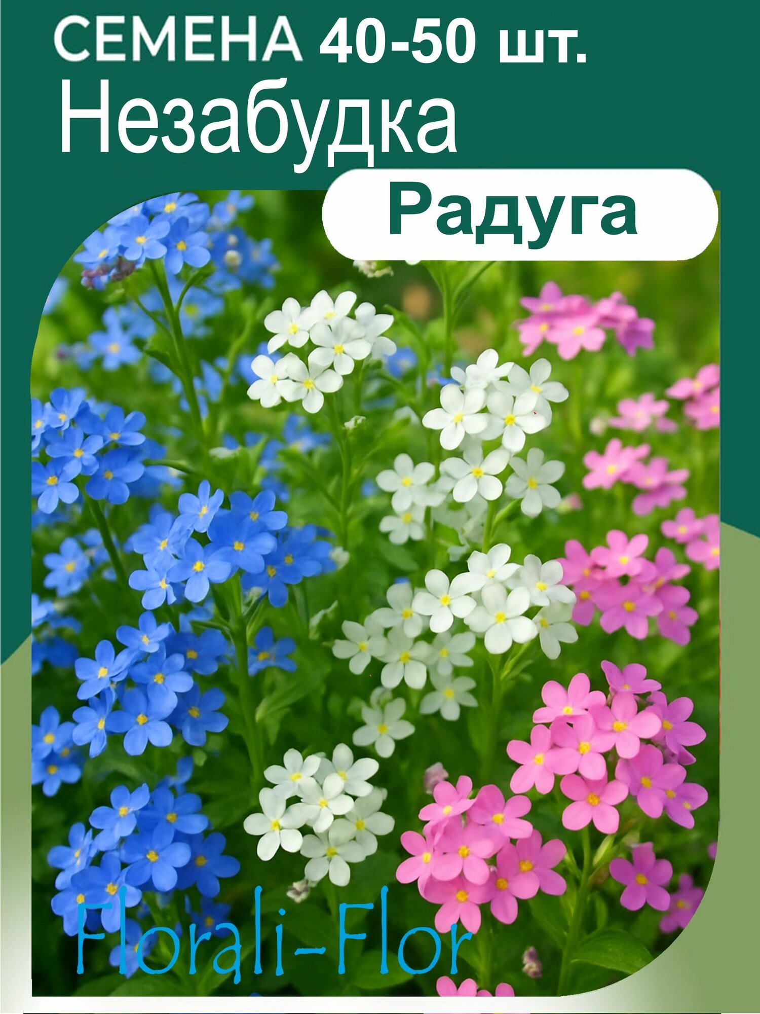 Семена незабудка для посадки