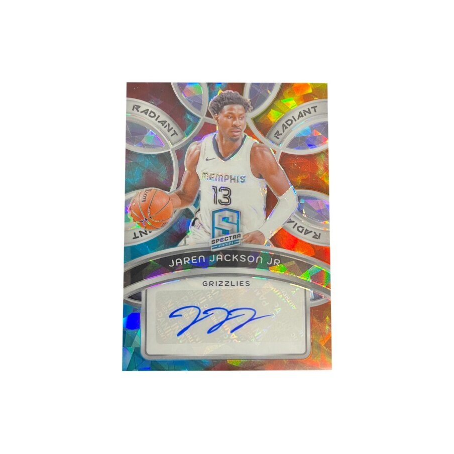 PANINI 23 24 NBA Баскетбол Spectra