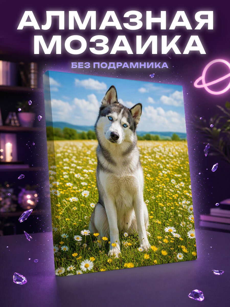Алмазная мозаика Добрый хаски в поле белых ромашек