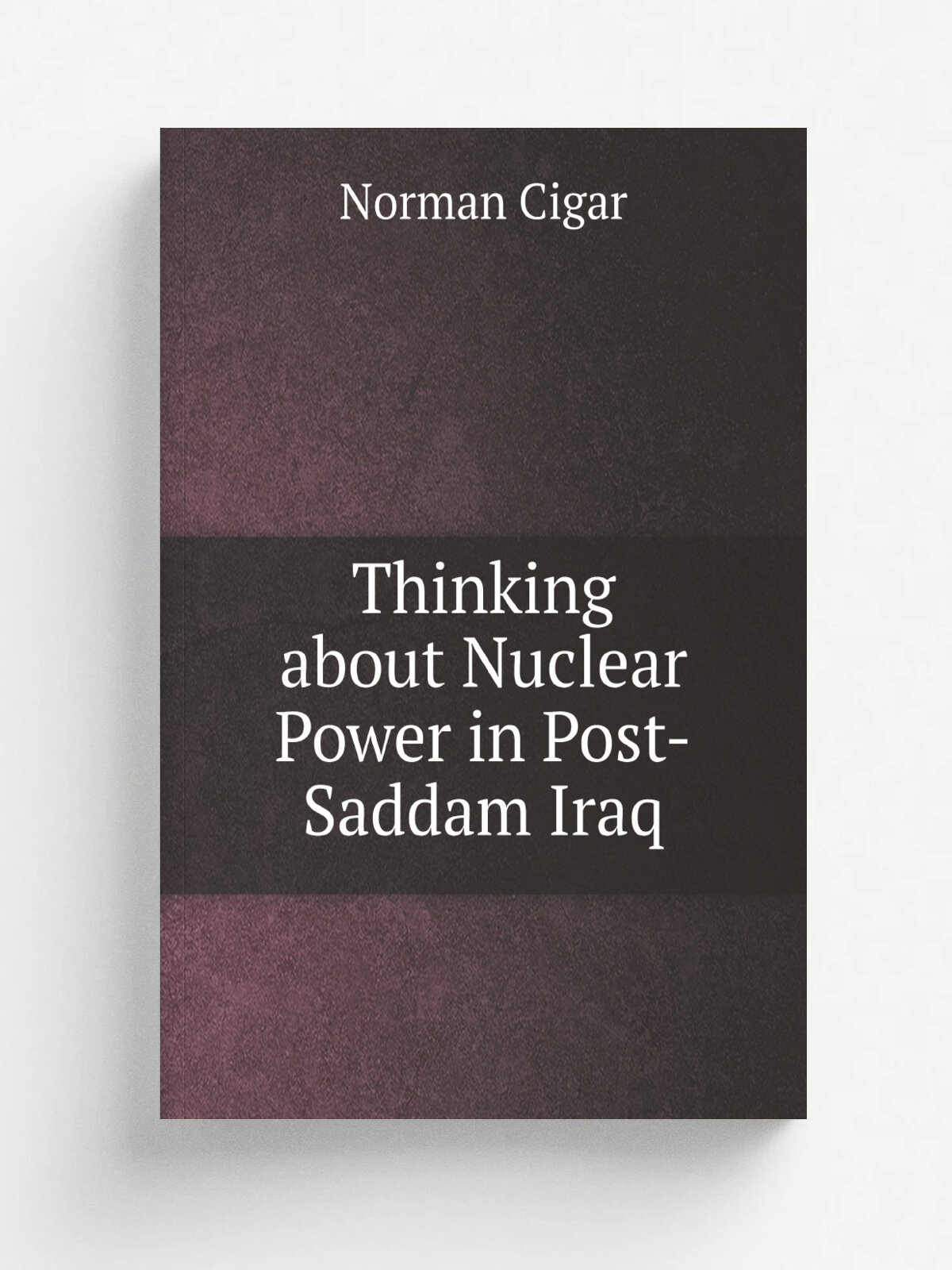Thinking about Nuclear Power in Post-Saddam Iraq