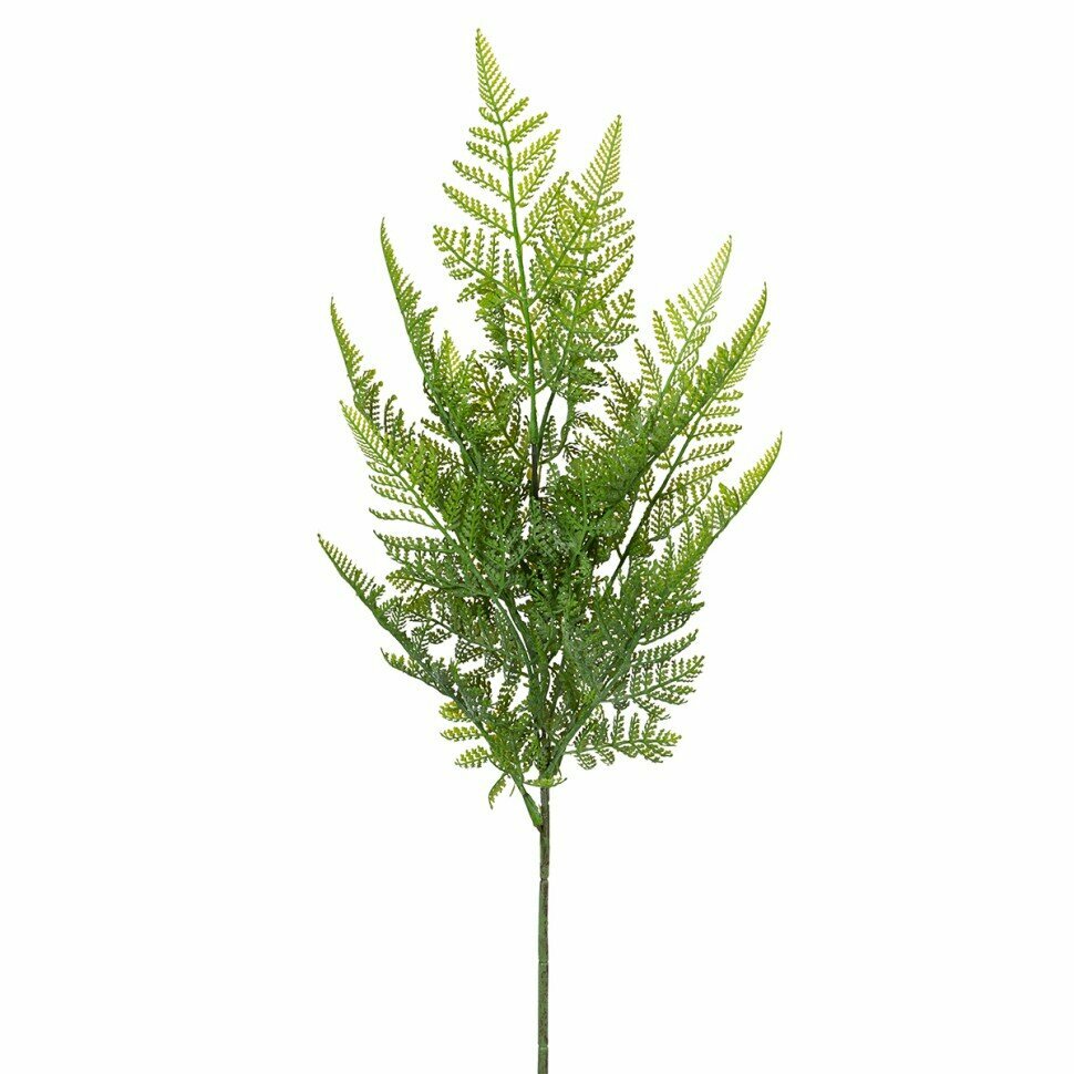 Fiebiger Floristik 109334-800 Ветка декоративная "Папоротник", 68 см