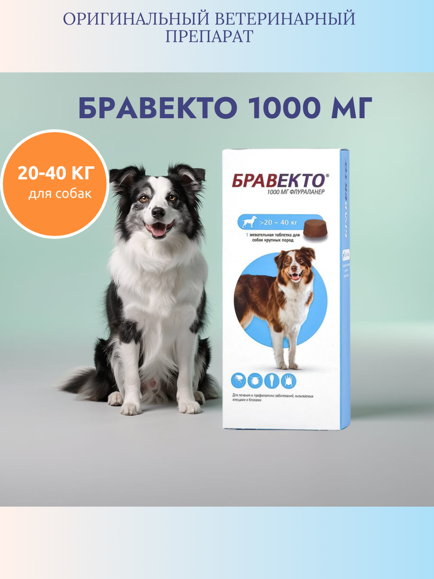 Бравекто (Bravecto) 1000 мг, от блох и клещей для собак от 20 до 40 кг, 1 шт