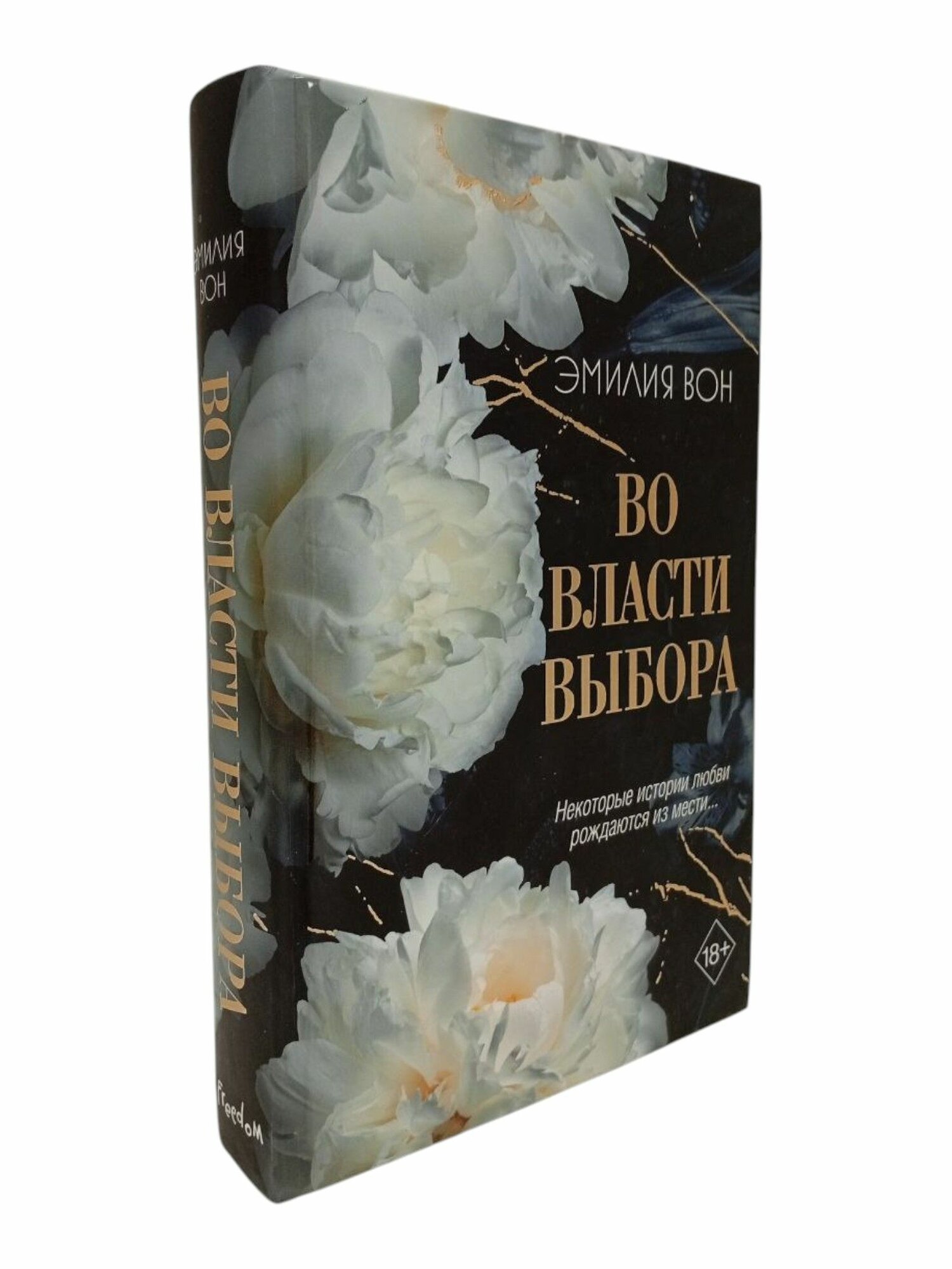 Во власти выбора