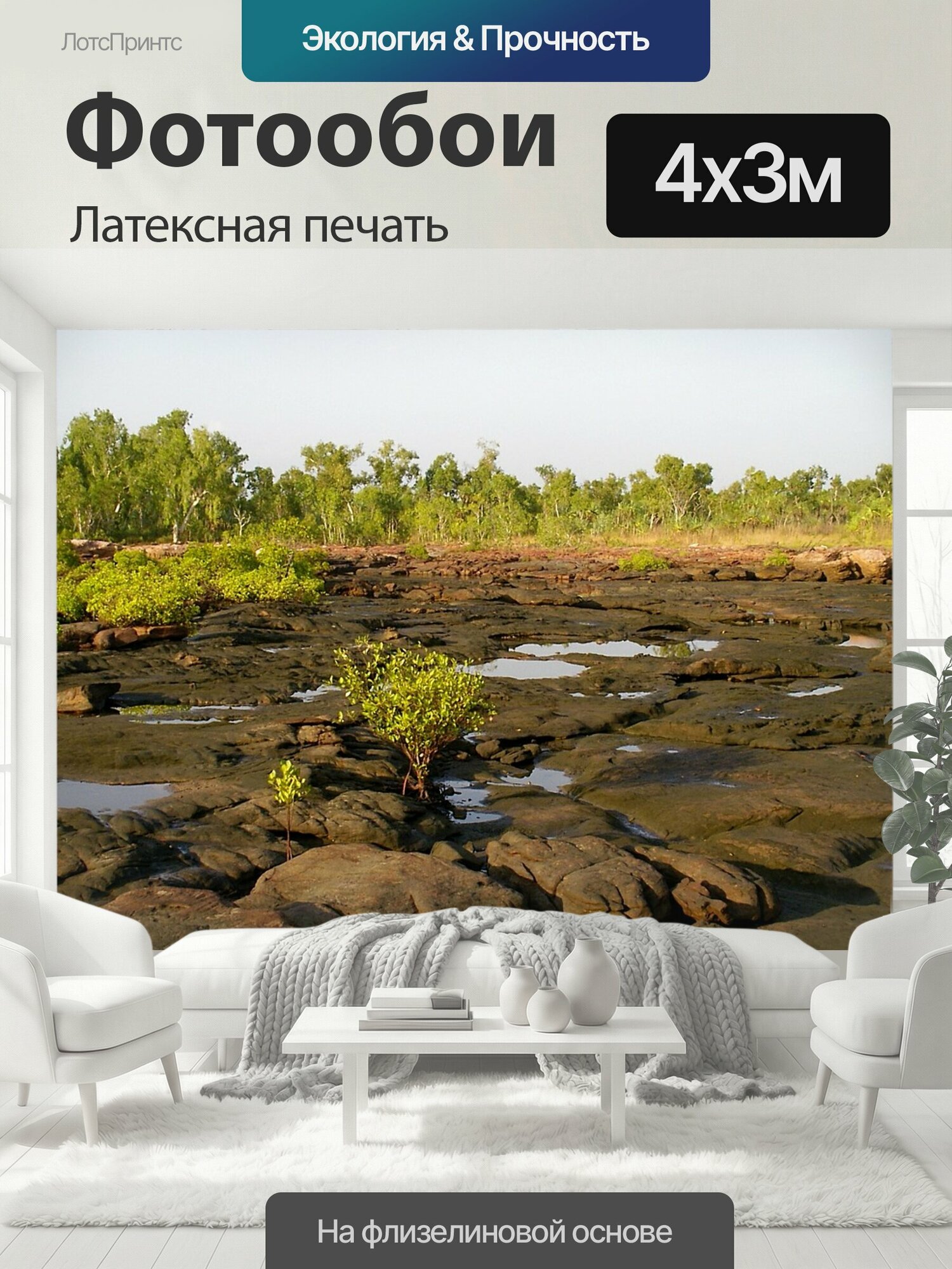 Фотообои моющиеся ударопрочные "Приливная речка, кимберли рейнджеры, тропический" 400x300 см. латексная печать