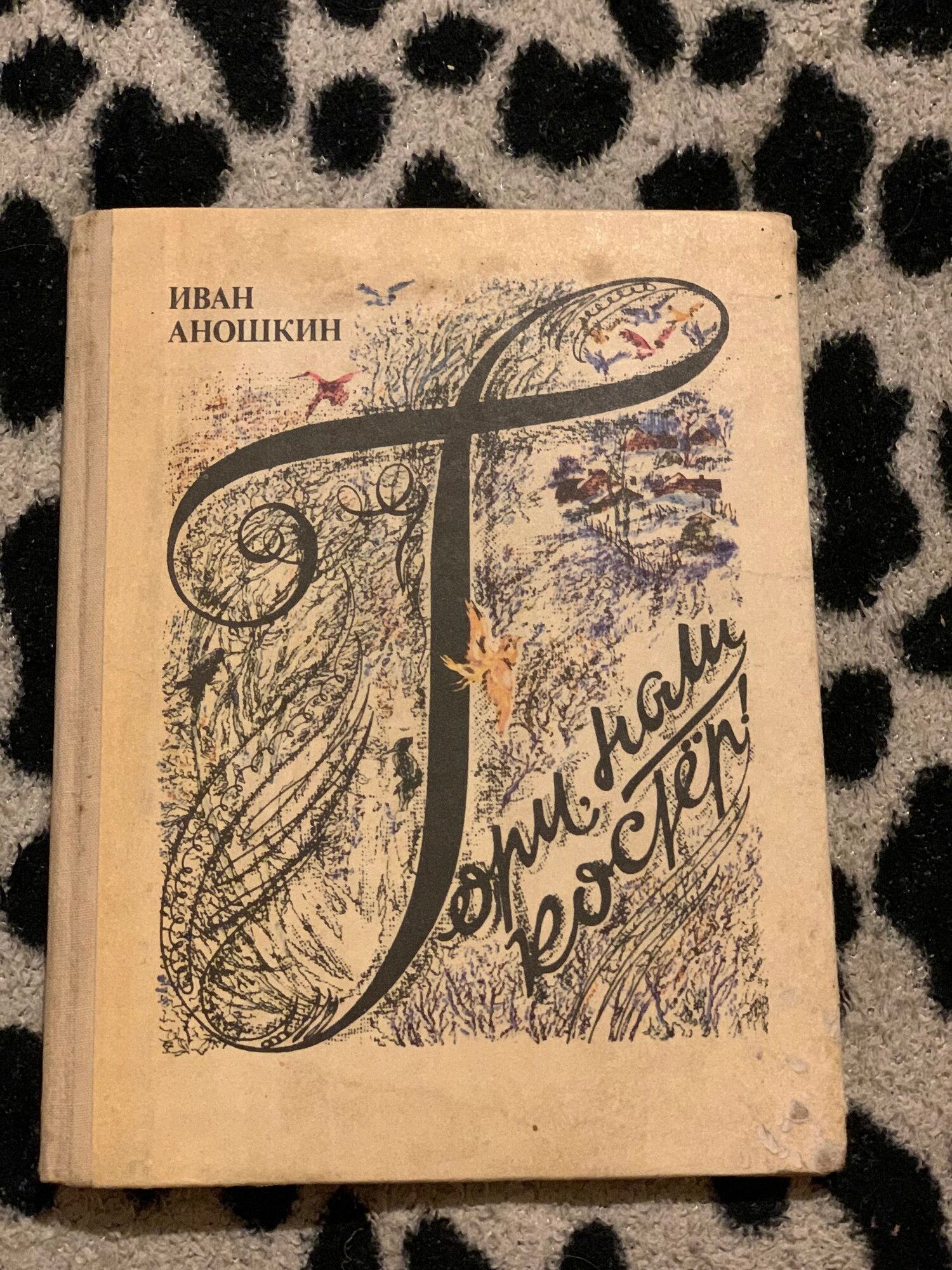 Гори наш костёр! Иван Аношкин