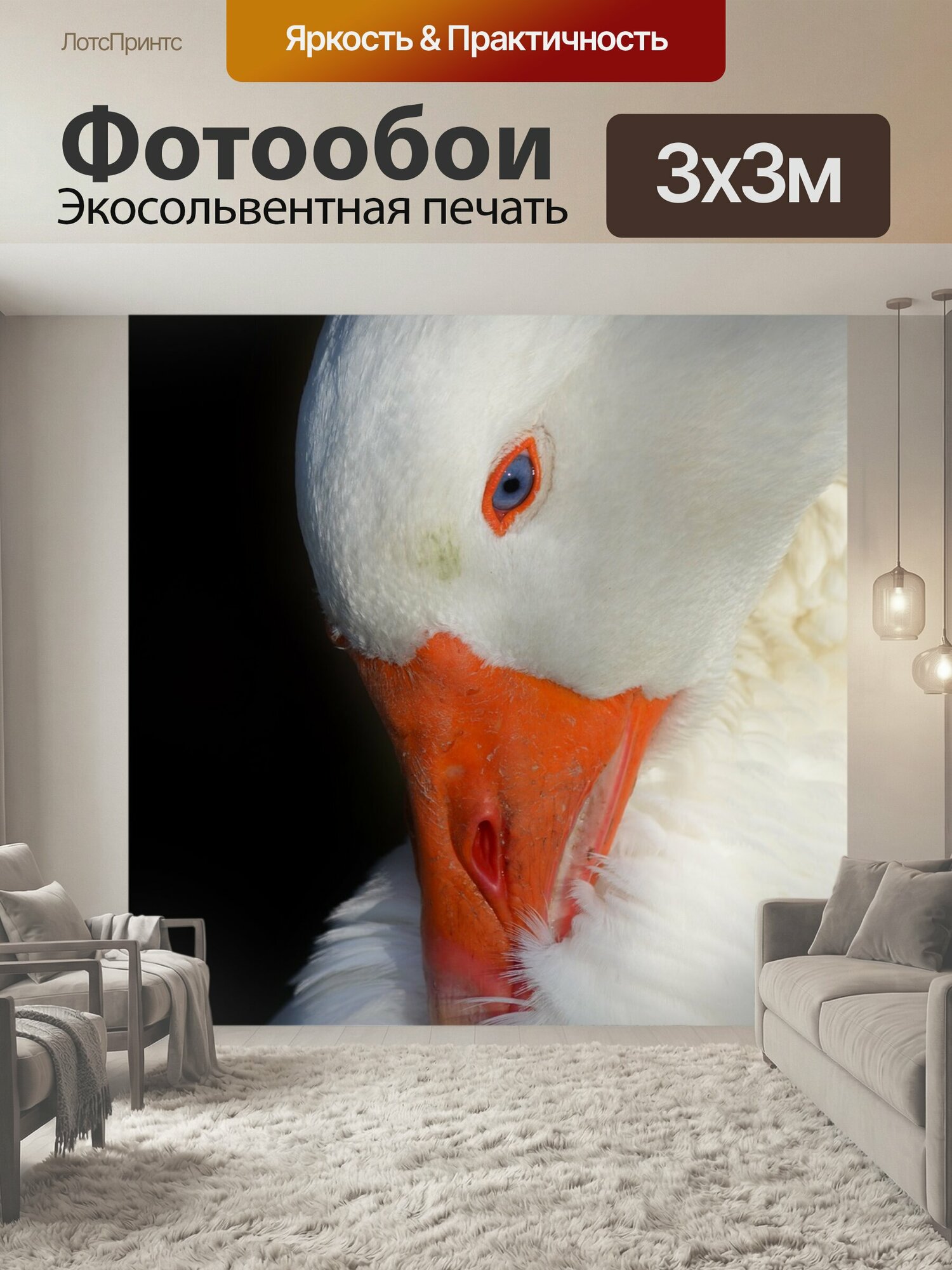 Фотообои "Гусь, птица, гусей" 300x300 см. экосольвентная печать