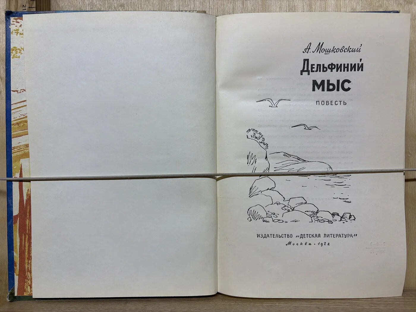 Дельфиний мыс — фото 1