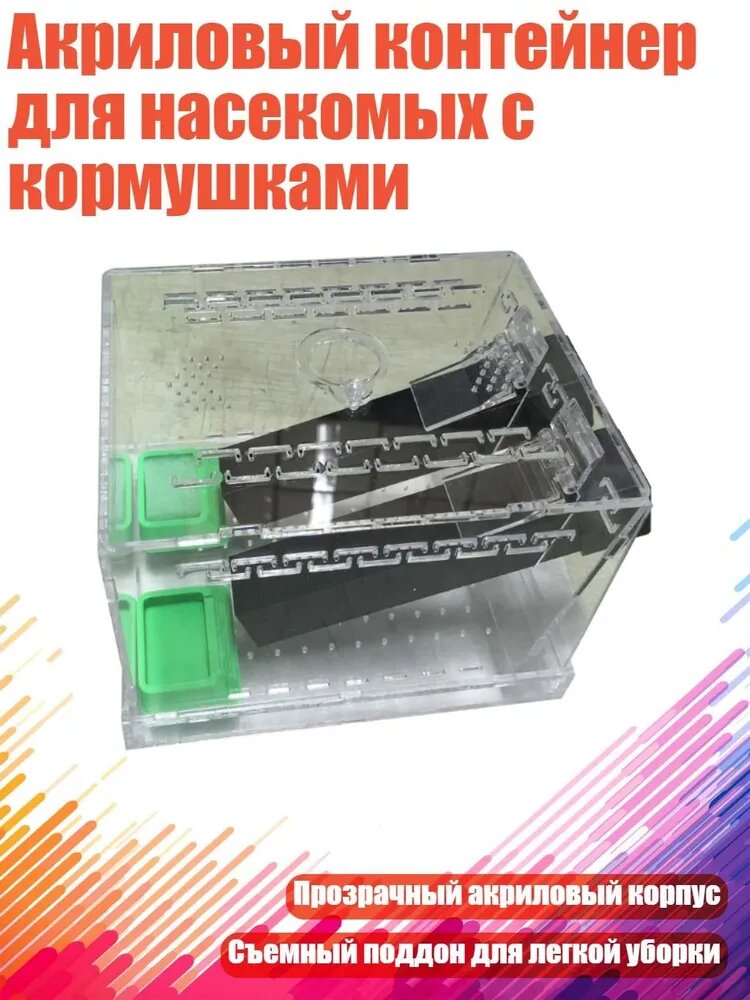 Акриловый контейнер для насекомых с кормушками