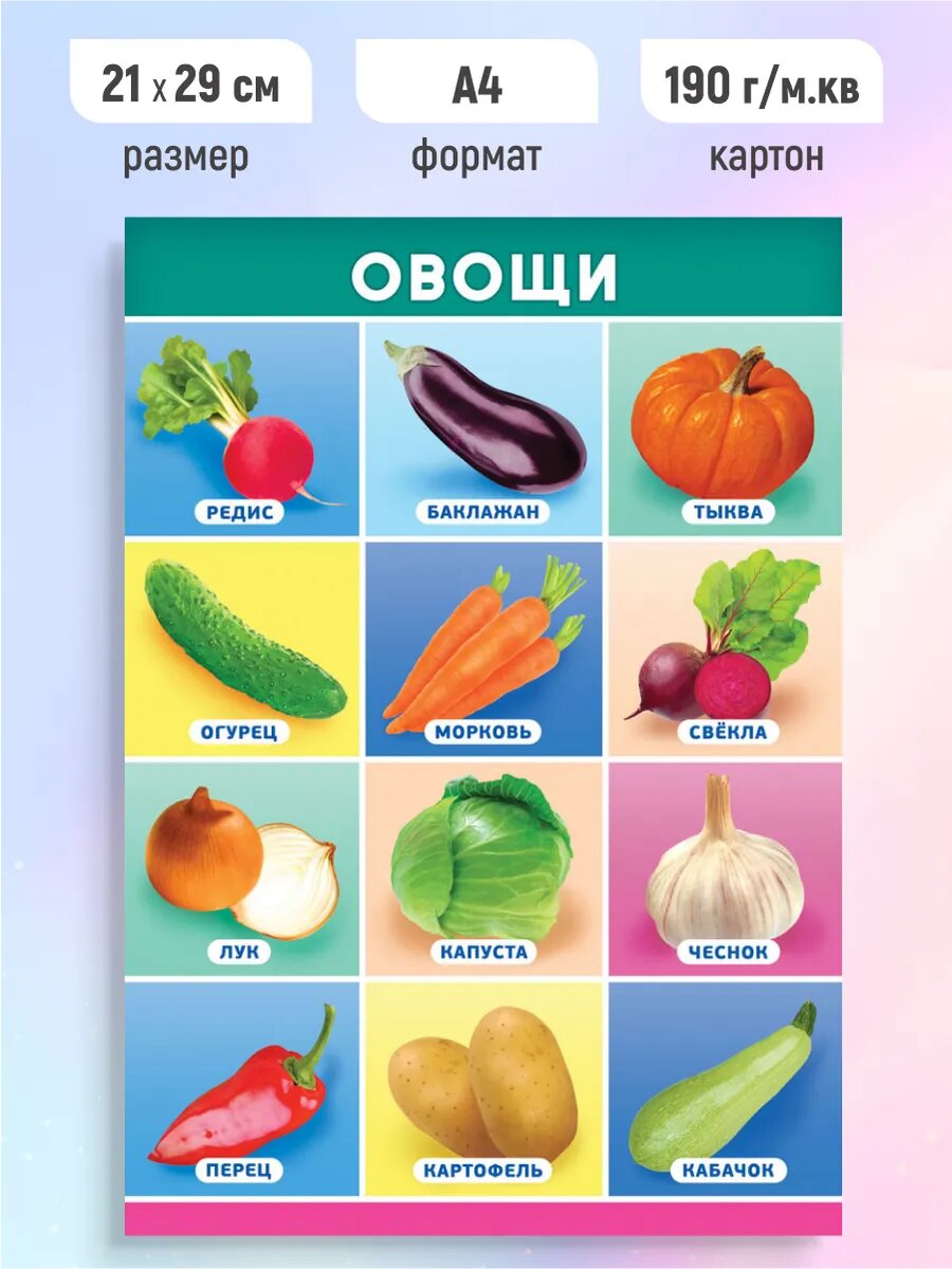 Детский обучающий плакат Овощи А4