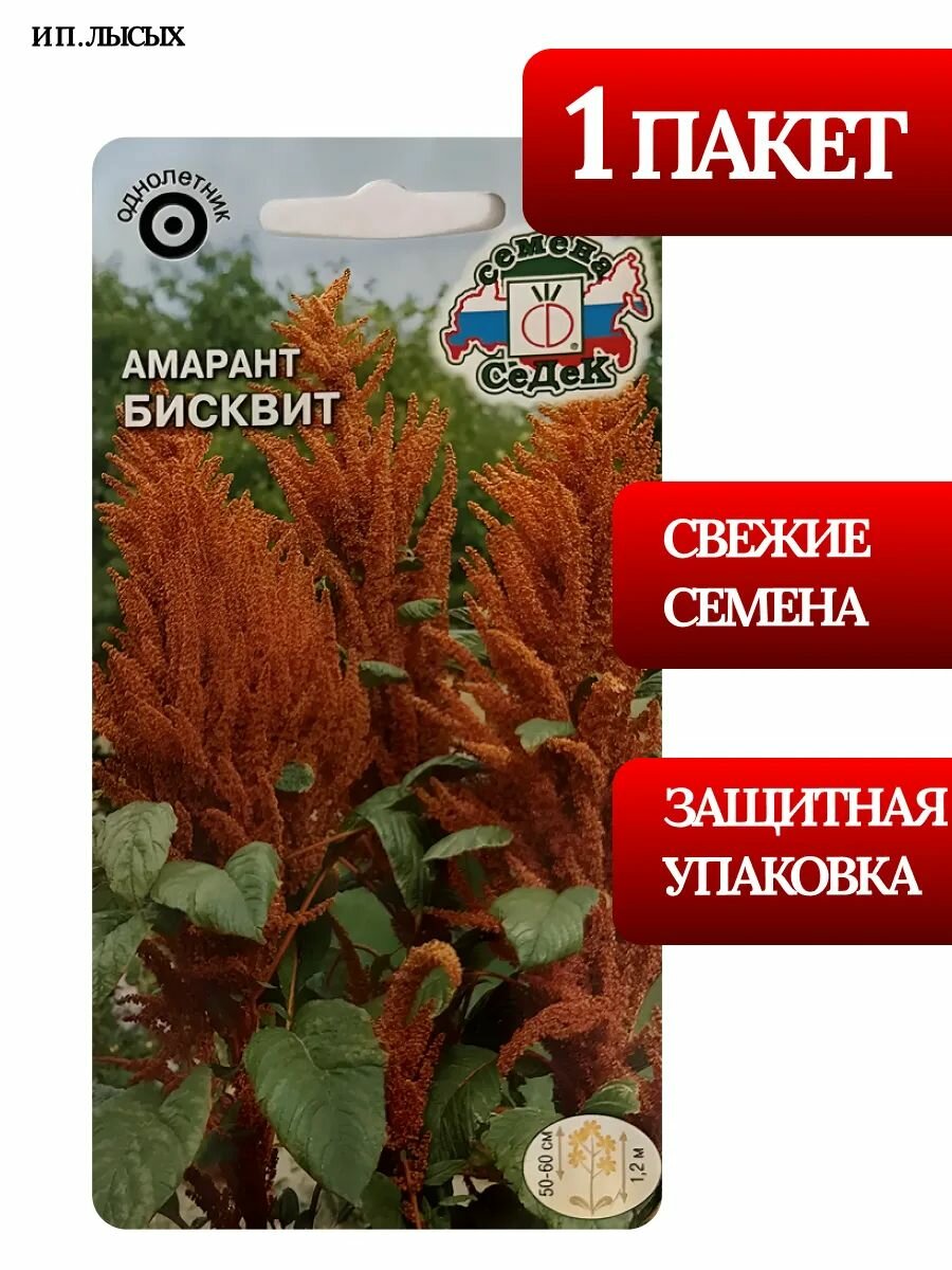 Семена Амарант "Бисквит"