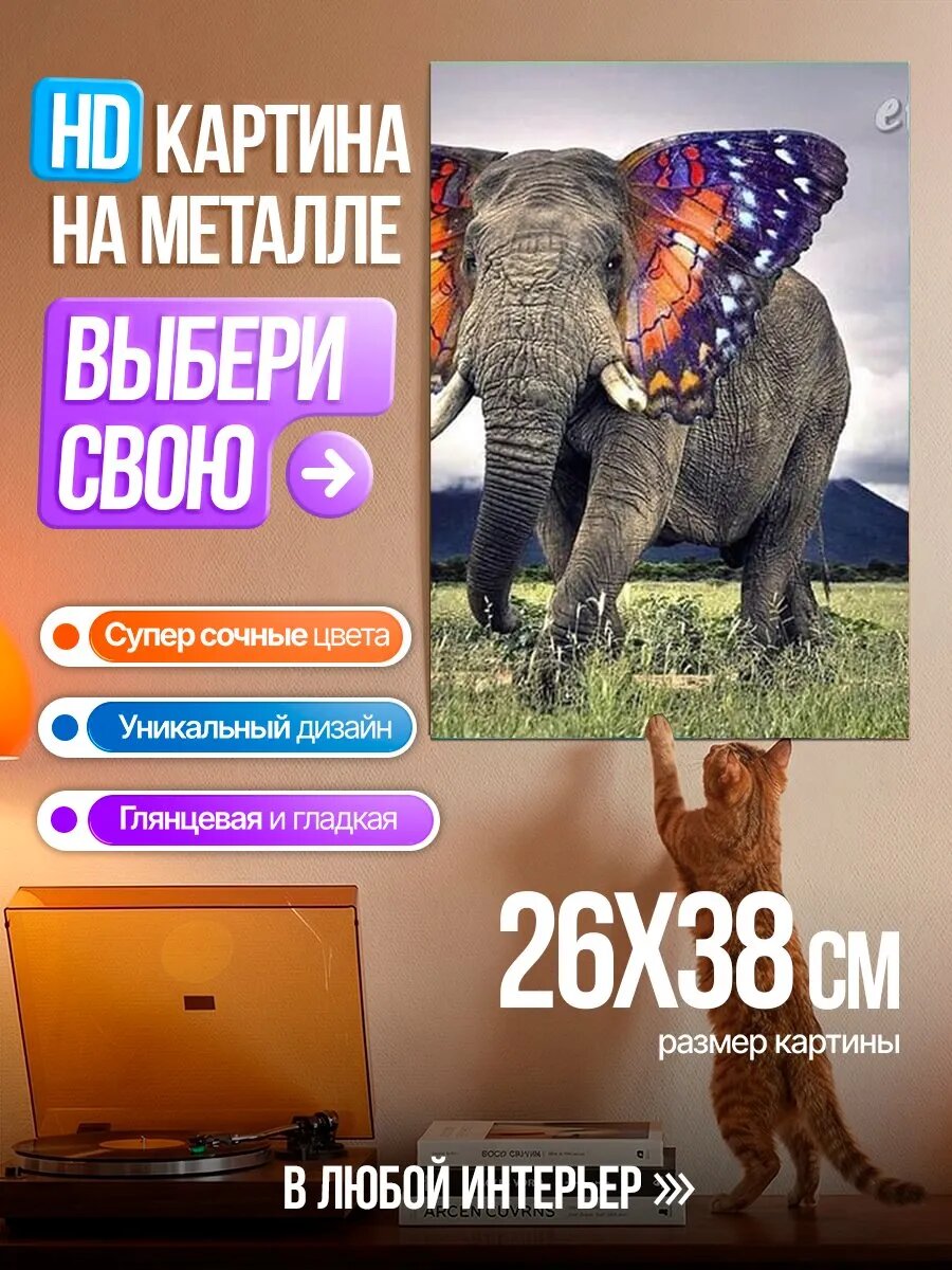 Картина на HD металле Слон с крыльями бабочки