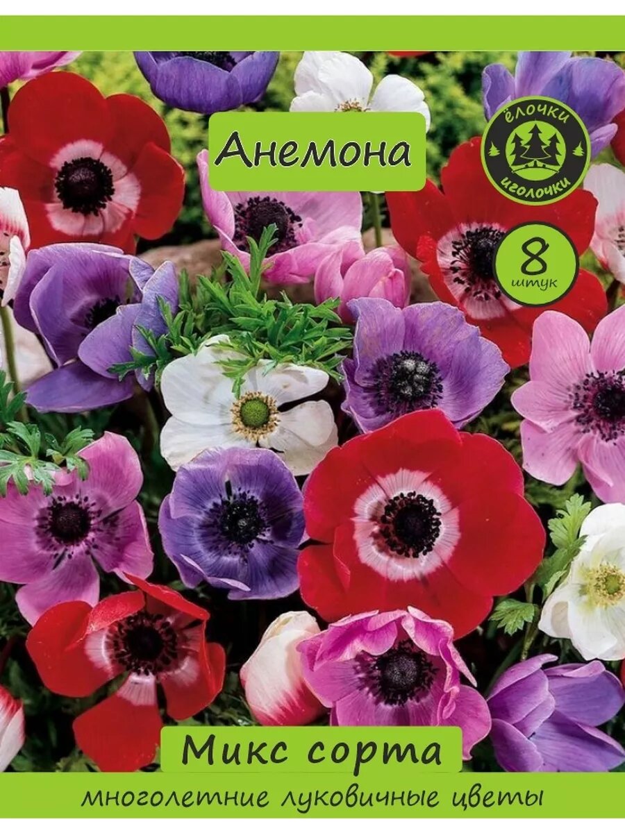 Анемона луковицы, микс сорта 8шт