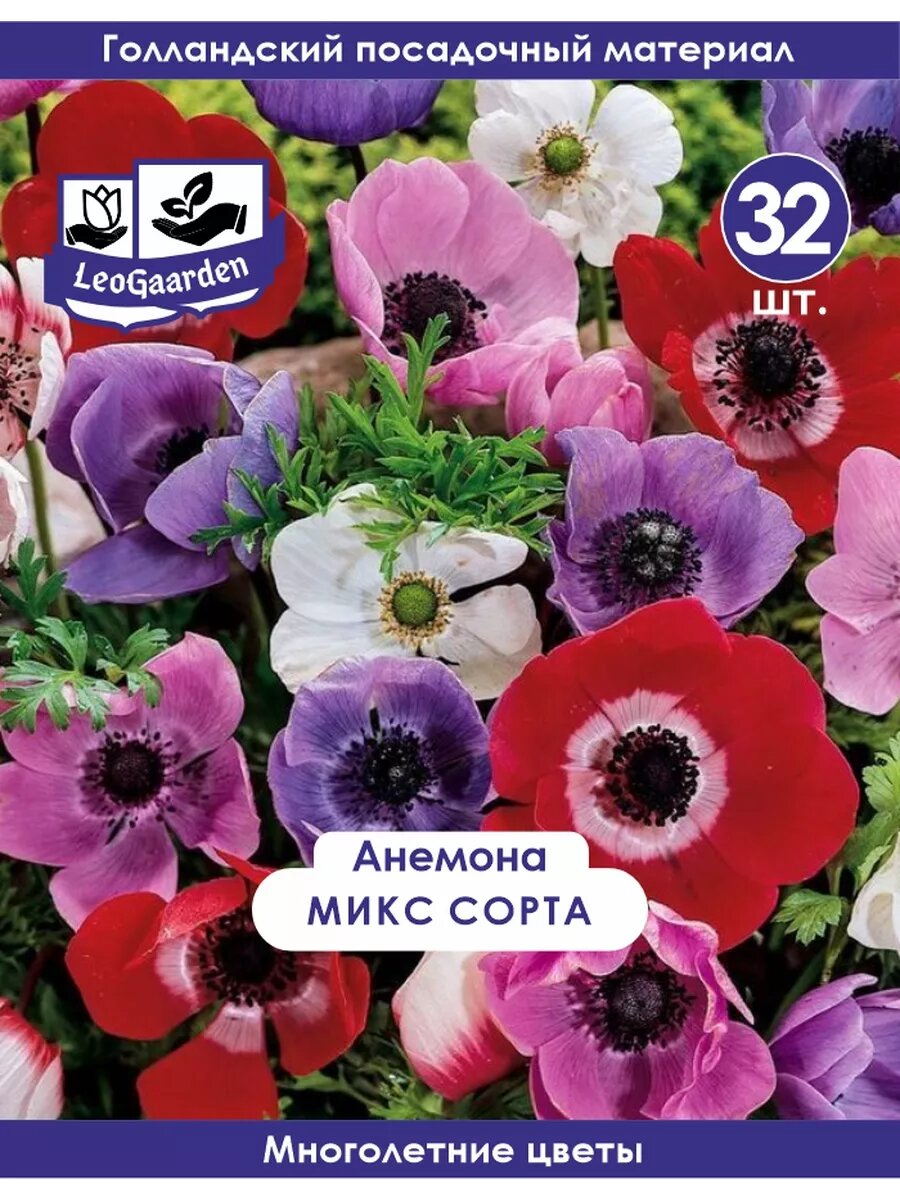 Анемона луковицы, микс сорта 32 шт