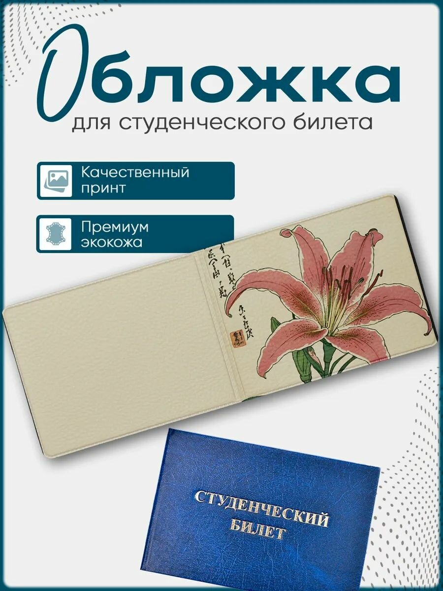 Обложка для студенческого билета