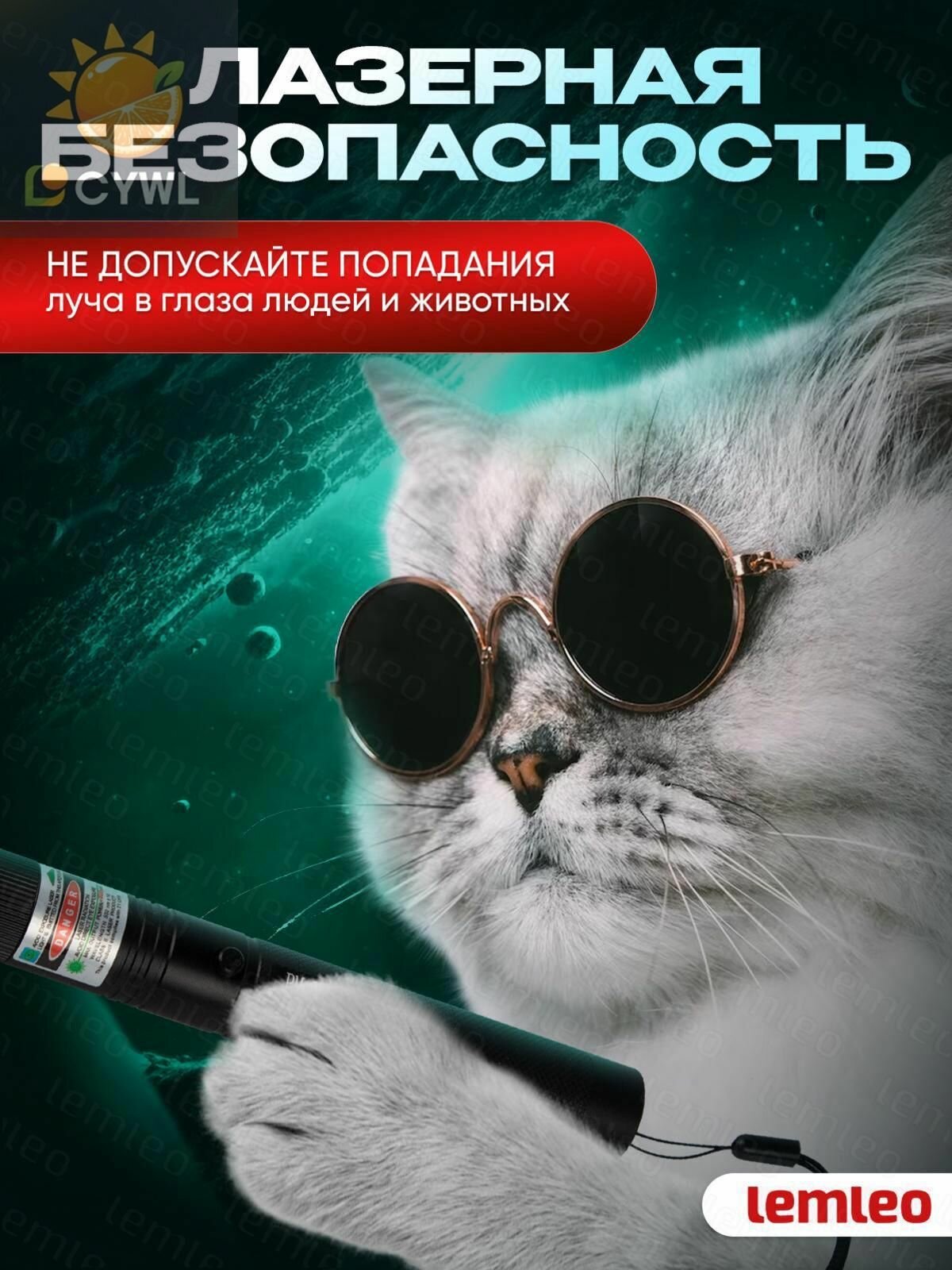 Лазерная указка — фото 1