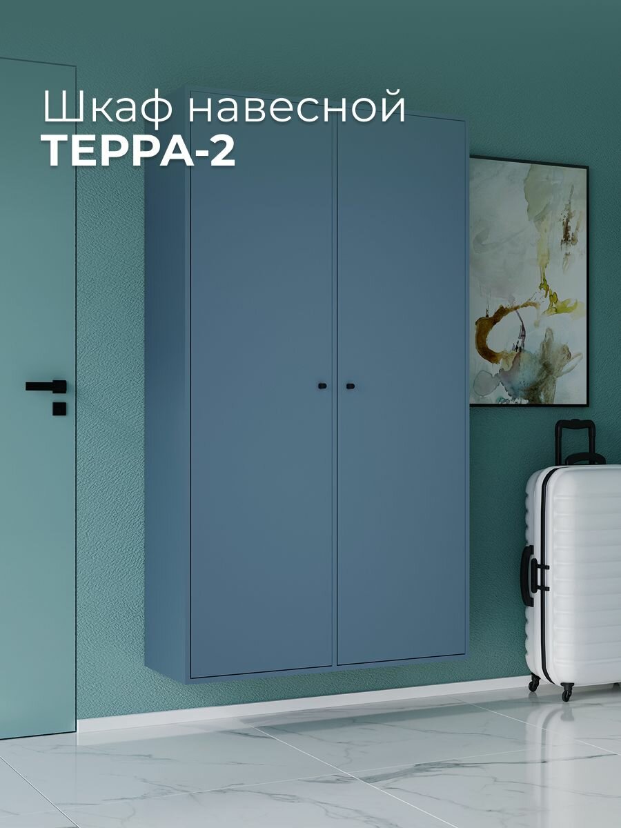 Шкаф навесной двухдверный в прихожую Терра-2 ЛДСП 98 х 35 х 175 см