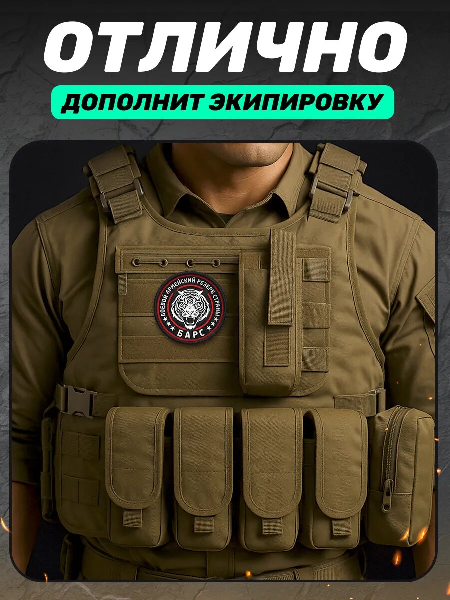 Шеврон на липучке Барс — фото 1