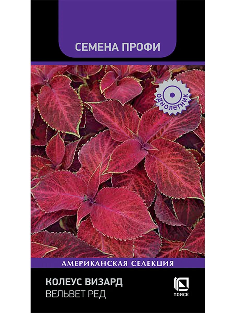 Семена цветов Поиск колеус Визард Вельвет Ред 10 шт.