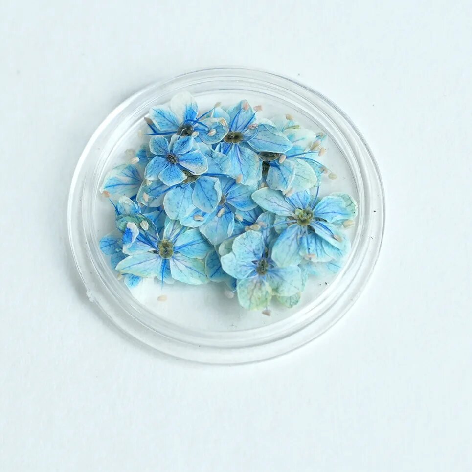 Сушеные цветы для дизайна ногтей, Light Treasure Blue