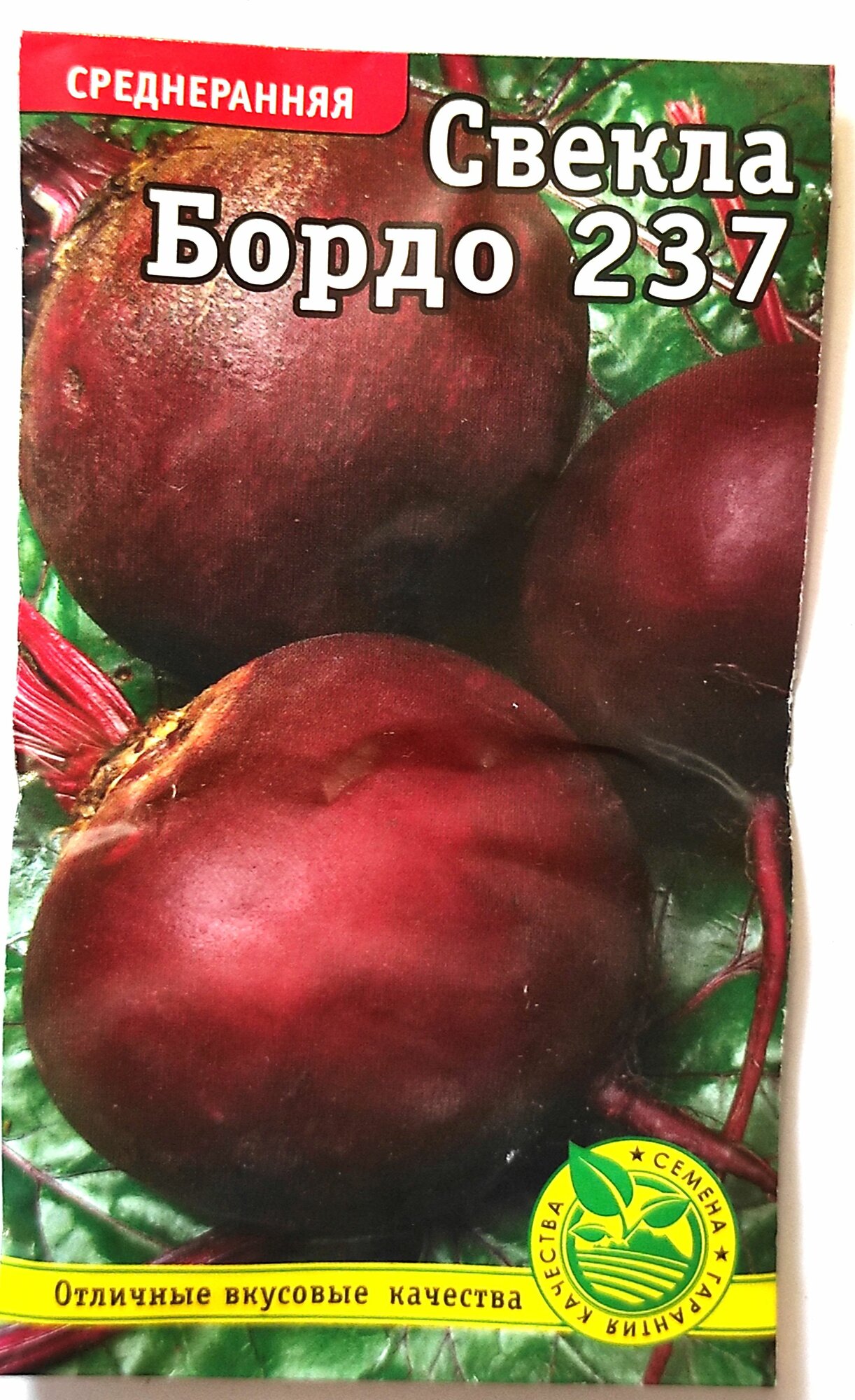 Семена свеклы "Бордо 237", среднеранние, урожайность до 79кг/кв. м, сочный сахарный вкус