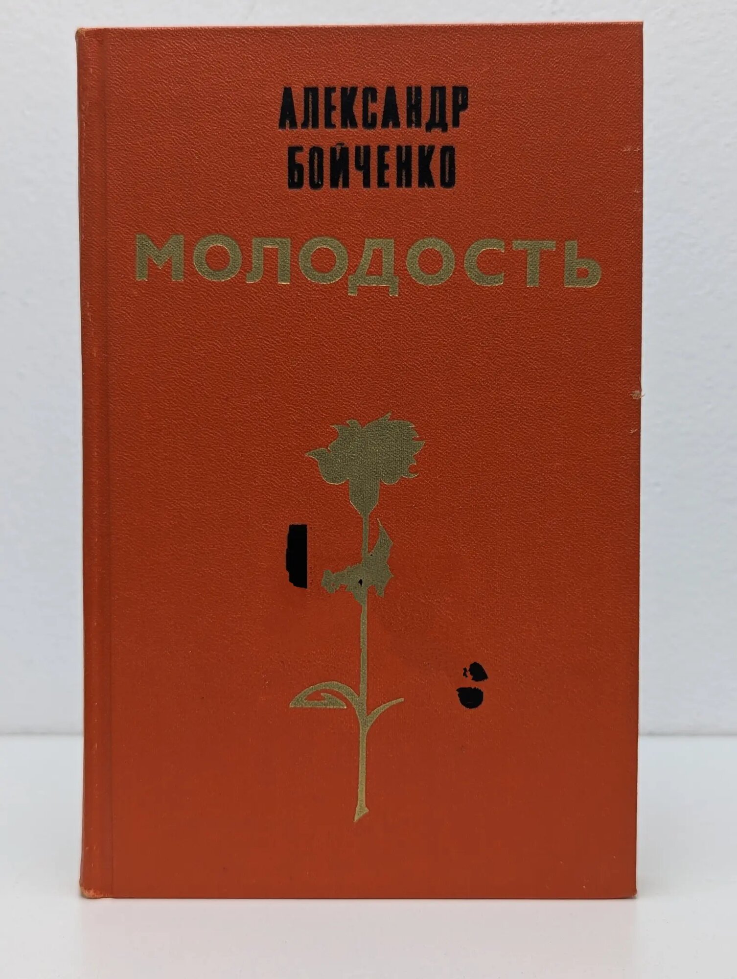 Молодость Бойченко Александр Максимович 1978