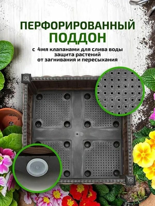 Грядка — фото 1