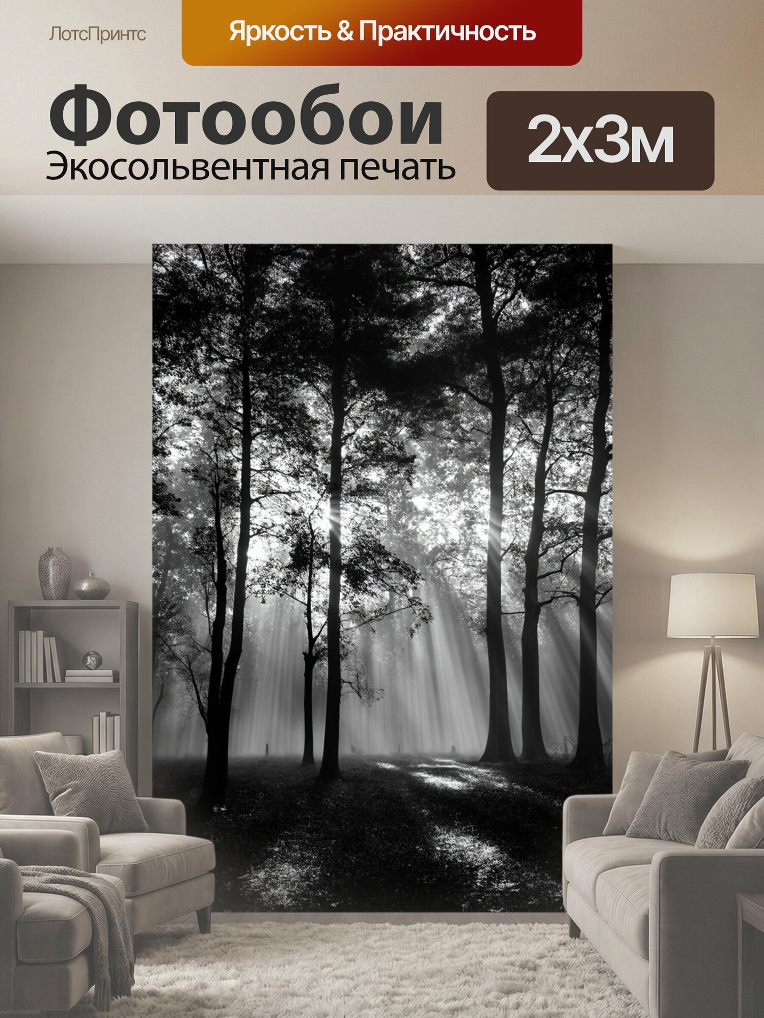 Фотообои "Черно-белый, на которых изображён утренний лес, окутанный легким туманом. солнечные лучи пробиваются через деревья, создавая." 200x300 см. экосольвентная печать