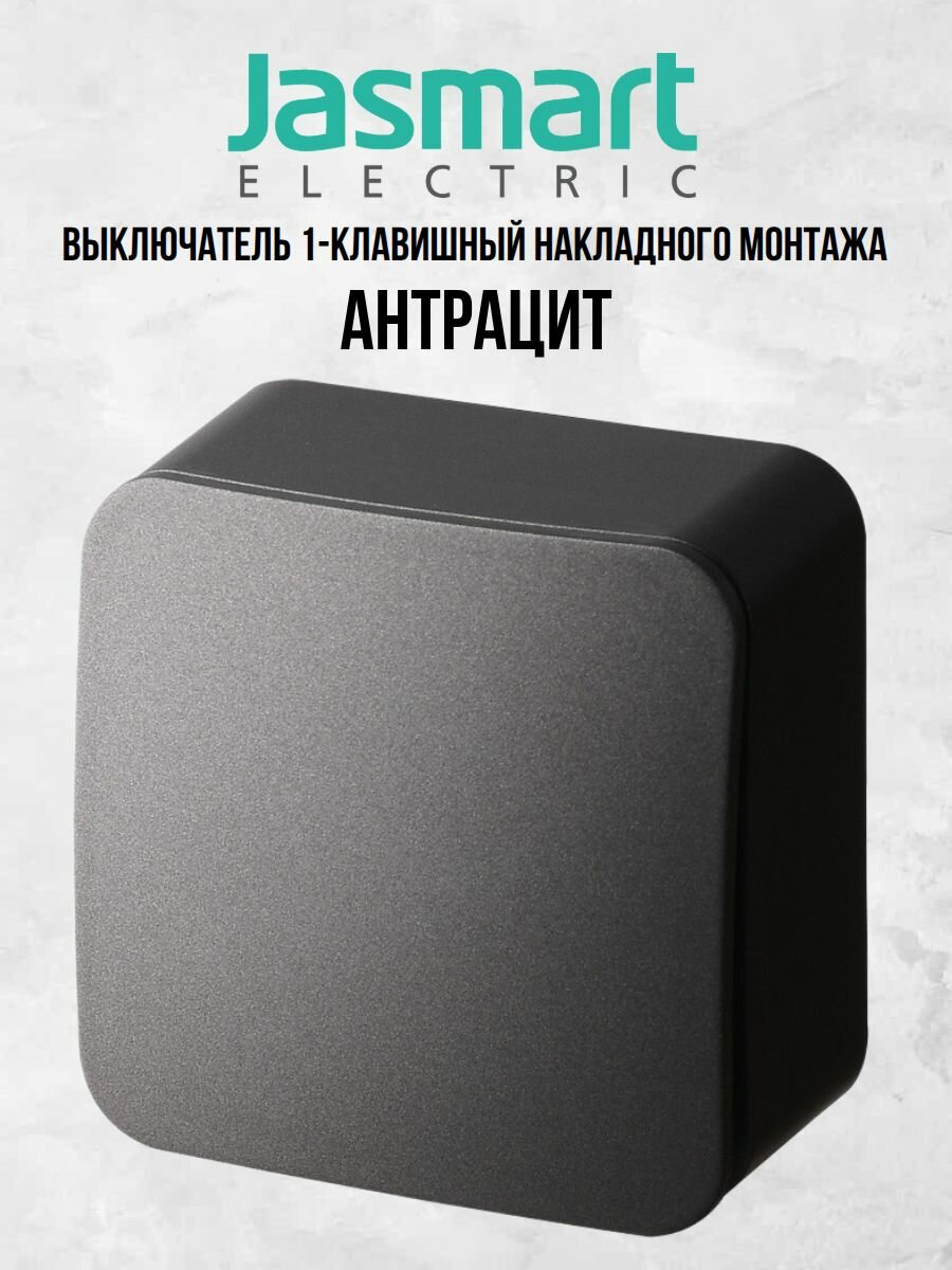 Выключатель накладного монтажа JASMART Серия FS