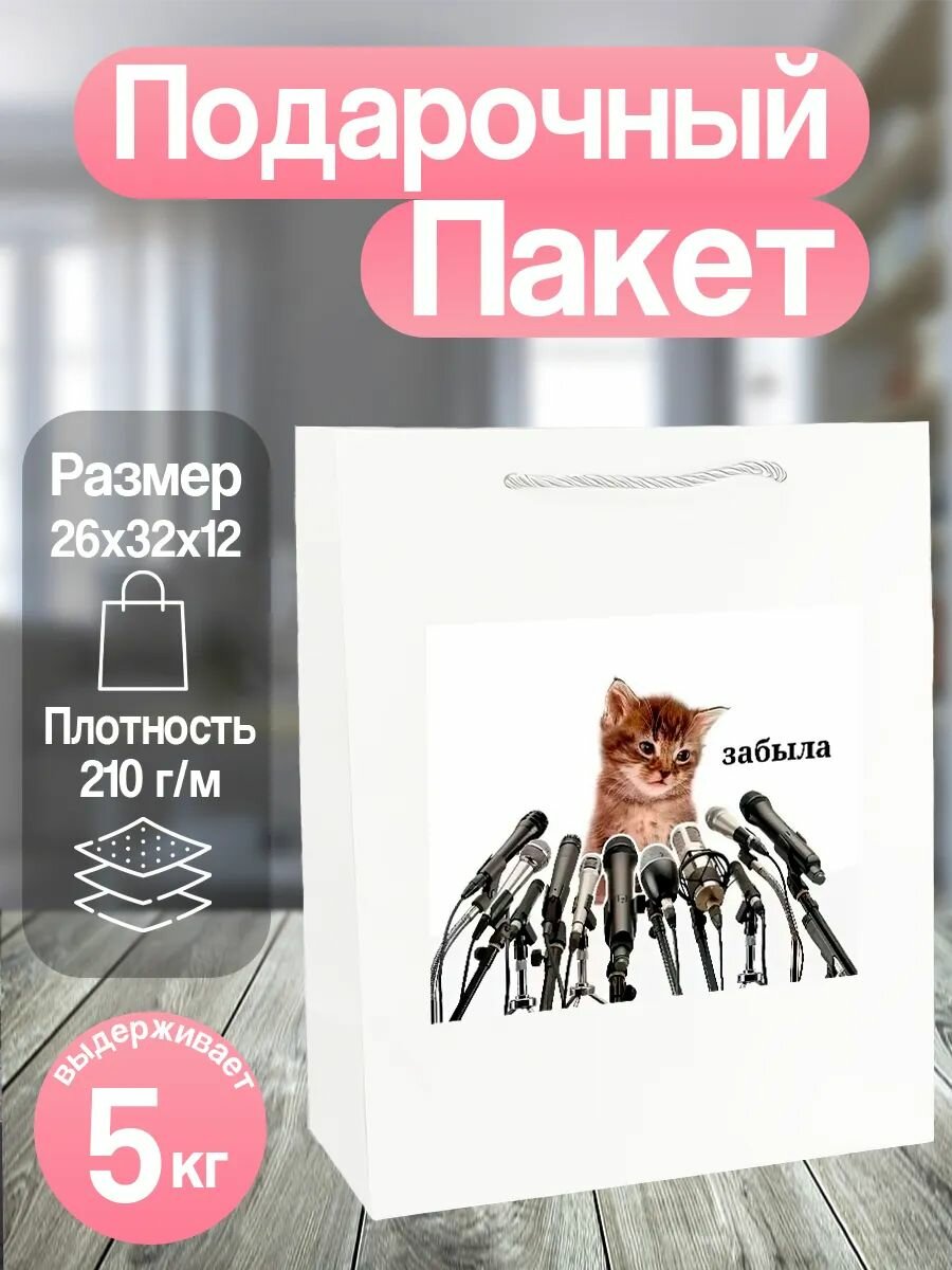 Пакет подарочный мем котики