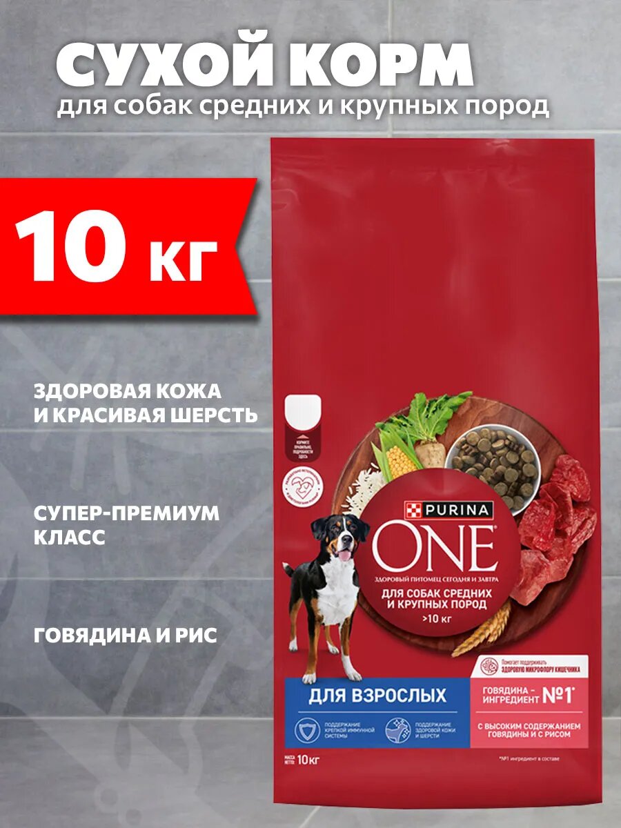 Корм сухой Purina One для взрослых собак средних и крупных пород, говядина и рис, 10 кг