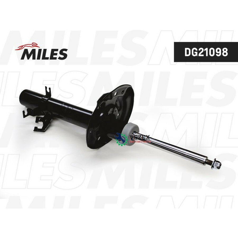 MILES DG21098 Амортизатор подвески