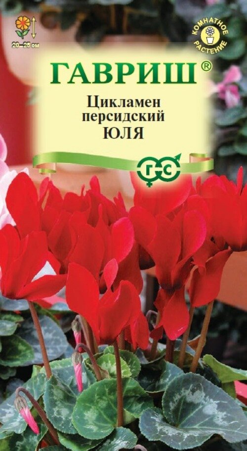 Семена цикламена Гавриш Юля, многолетний клубневый, 3 шт 001193