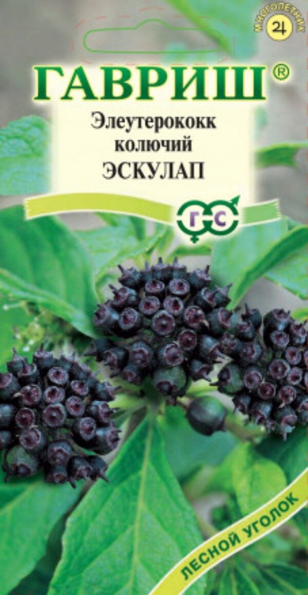 Семена элеутерокока Гавриш лекарственный кустарник, Эскулап, колючее растение, 3 шт 10003923