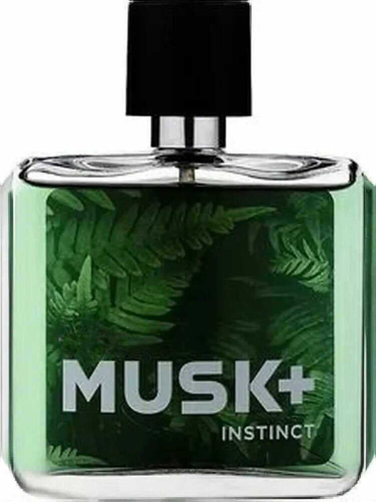 Туалетная вода Musk Instinct+, древесно-фужерная, мужская, 75мл