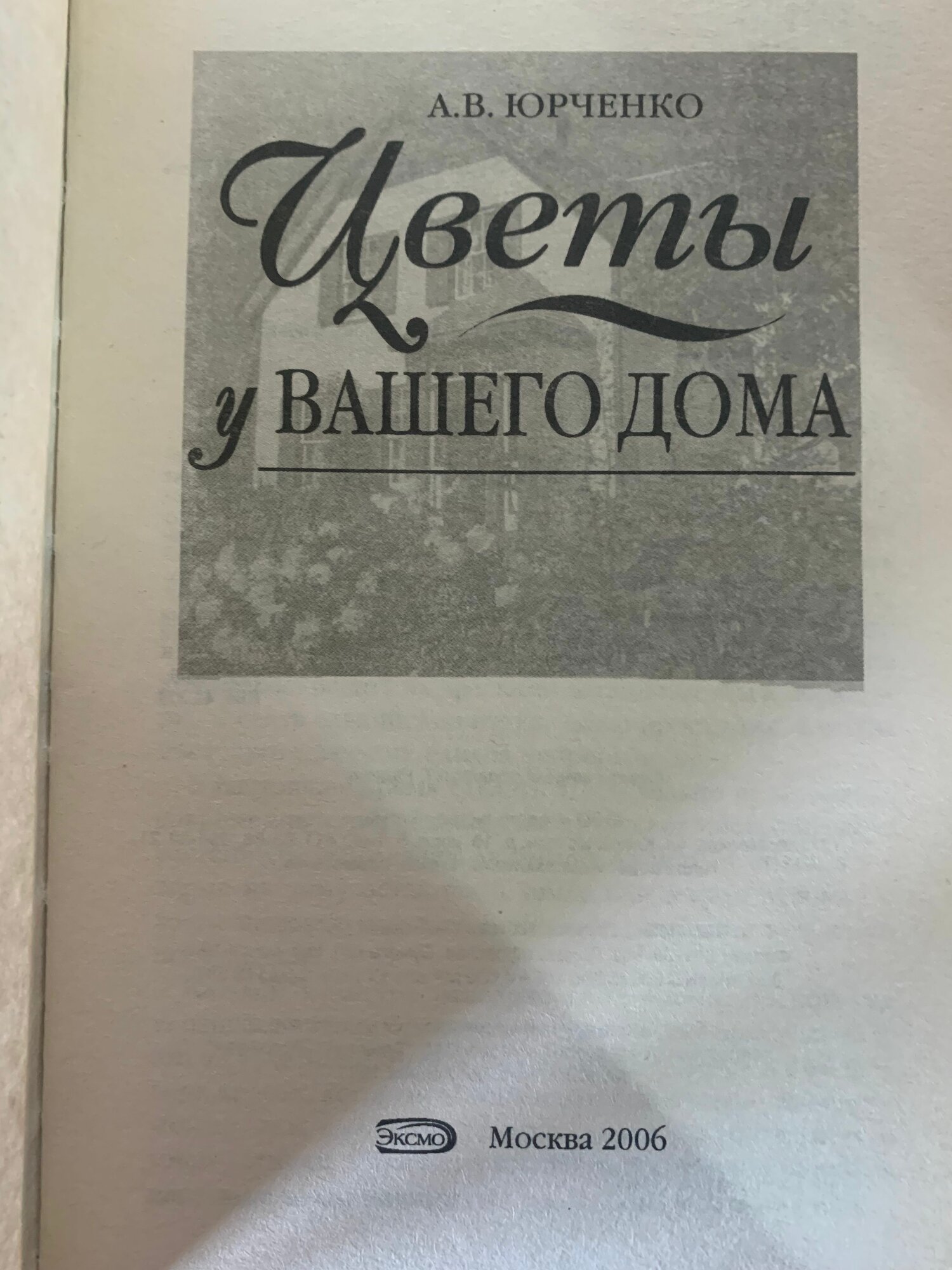 Цветы у вашего дома — фото 1