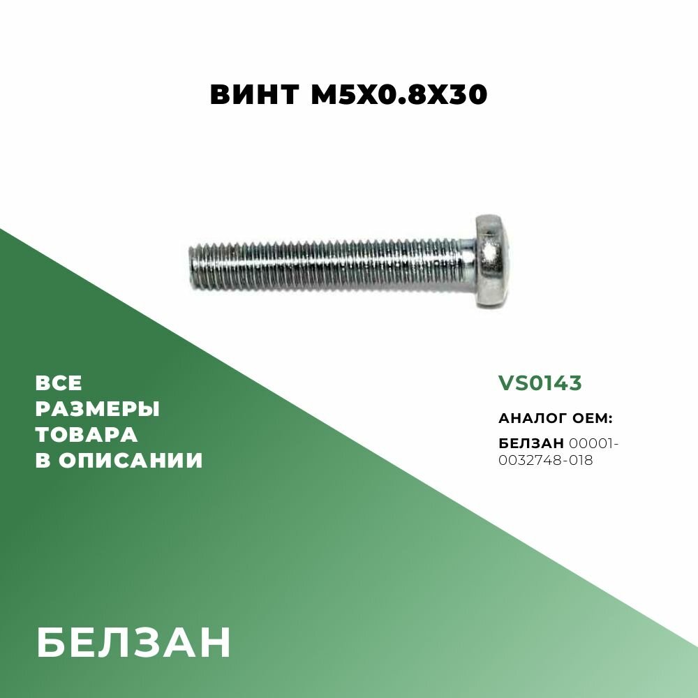 Винт M5х30х0,8; БелЗАН 00001-0032748-018; VS0143 - 10 шт.