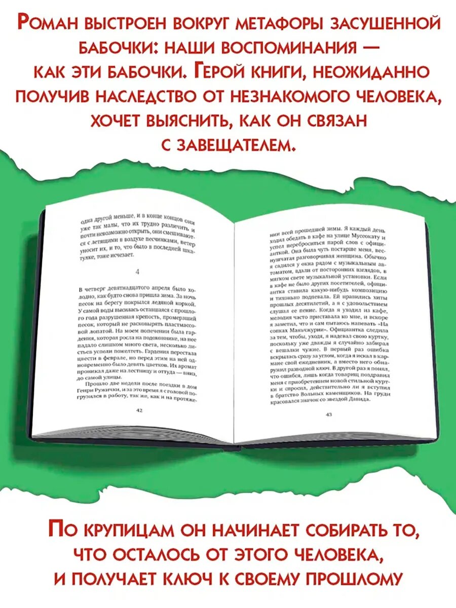 Собиратель бабочек — фото 1